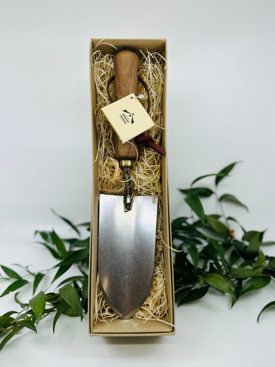 Asano Multi Trowel – MISE 店