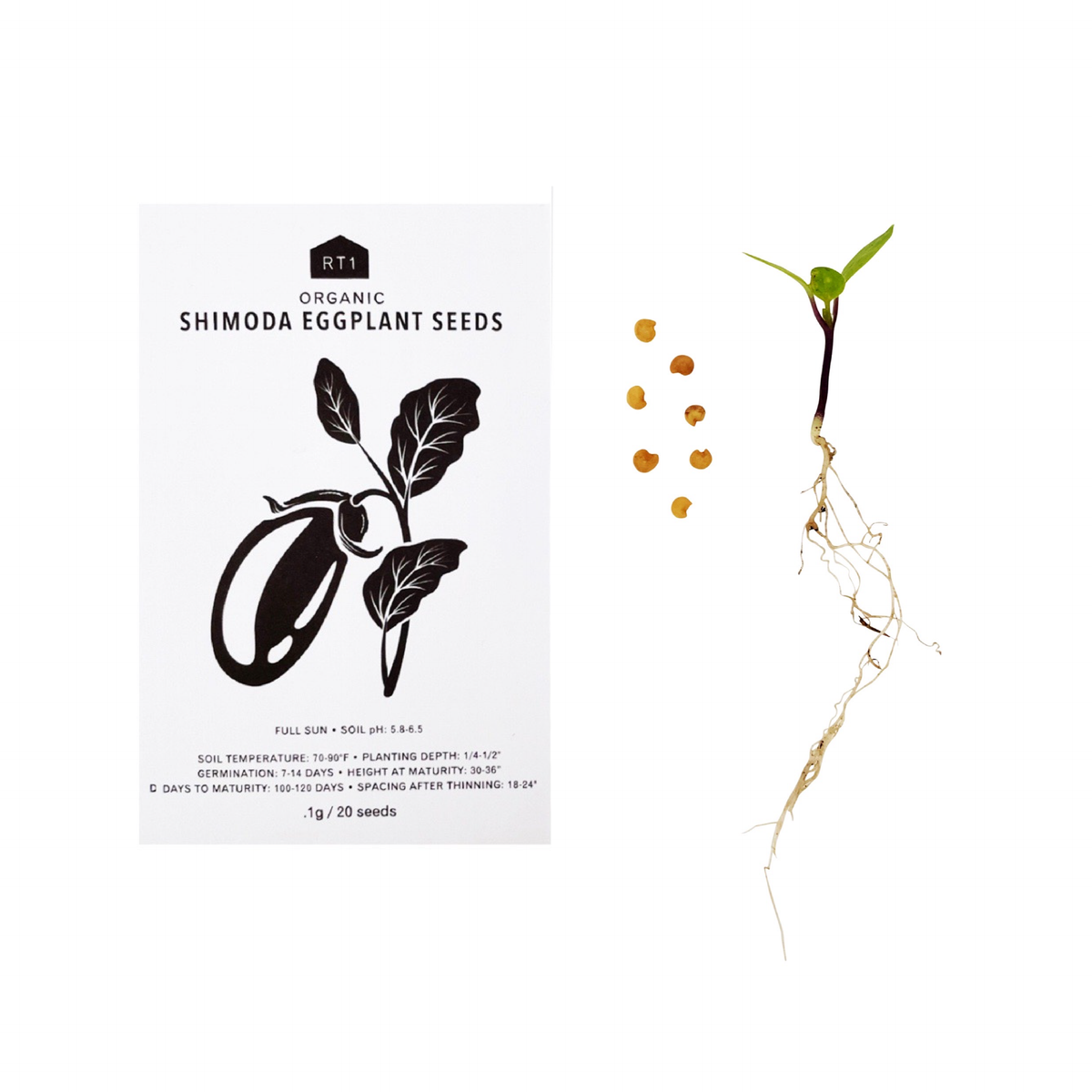 Japanese Spring Vegetable Seeds - Set of 5 – MISE 店